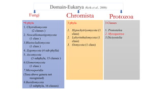 Chromista, fungal classification in pathology.pptx