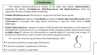 Chromista, fungal classification in pathology.pptx