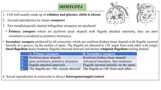 Chromista, fungal classification in pathology.pptx