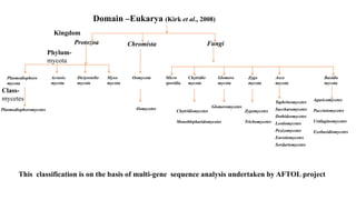 Chromista, fungal classification in pathology.pptx