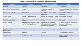 Chromista, fungal classification in pathology.pptx