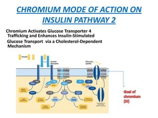 Chromium and insulin sensitivity | PPTX