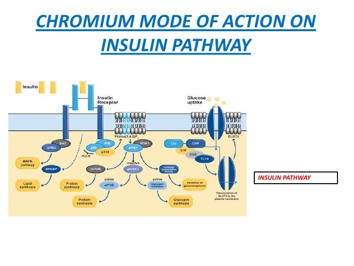 Chromium and insulin sensitivity