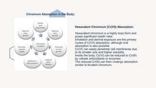 - Chromium and it's types.pptx