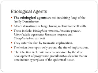 Chromoblastomycosis | PDF