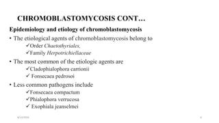 Chromoblastomycosis and phaeohyphomycosis | PPTX