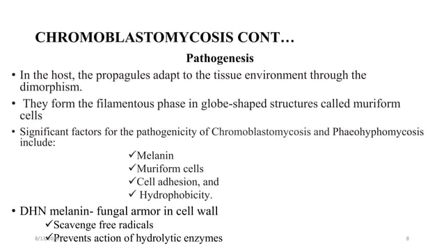 Chromoblastomycosis and phaeohyphomycosis | PPTX