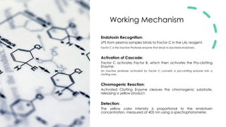 Chromogenic Limulus Amebocyte Lysate (LAL) Assay.pptx