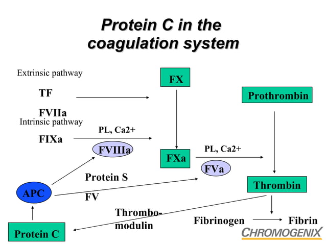 Chromogenic substrates | PPT