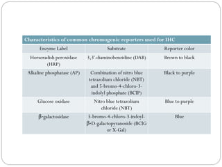 Chromogens used in IHC | PPTX