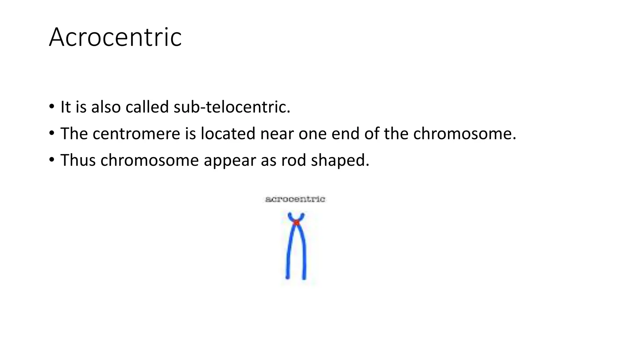 Chromosme, its structure and fuction.pptx