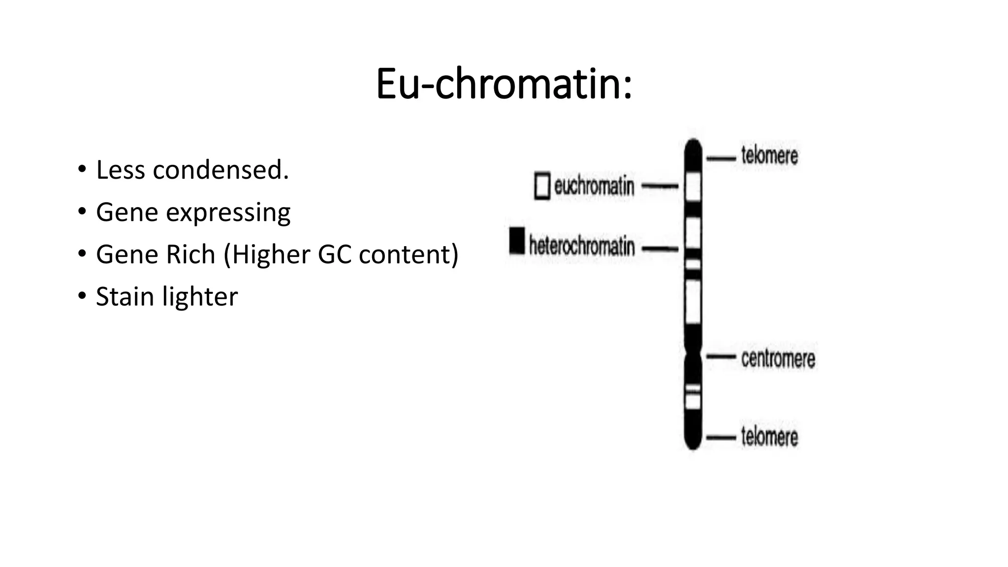 Chromosme, its structure and fuction.pptx