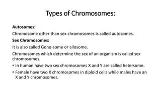 Chromosme, its structure and fuction.pptx