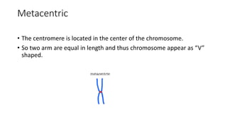 Chromosme, its structure and fuction.pptx