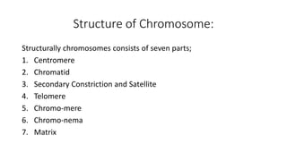 Chromosme, its structure and fuction.pptx