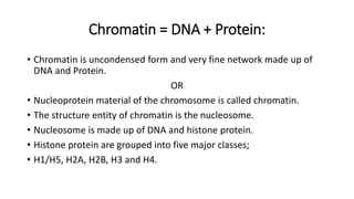 Chromosme, its structure and fuction.pptx