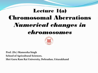 Chromosomal-Aberrations. | PPT