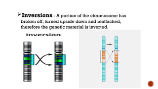 CHROMOSOMAL-ABERRATIONS-CHROMOSSAL ABNORMALITIES.pptx