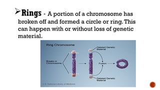 CHROMOSOMAL-ABERRATIONS-CHROMOSSAL ABNORMALITIES.pptx