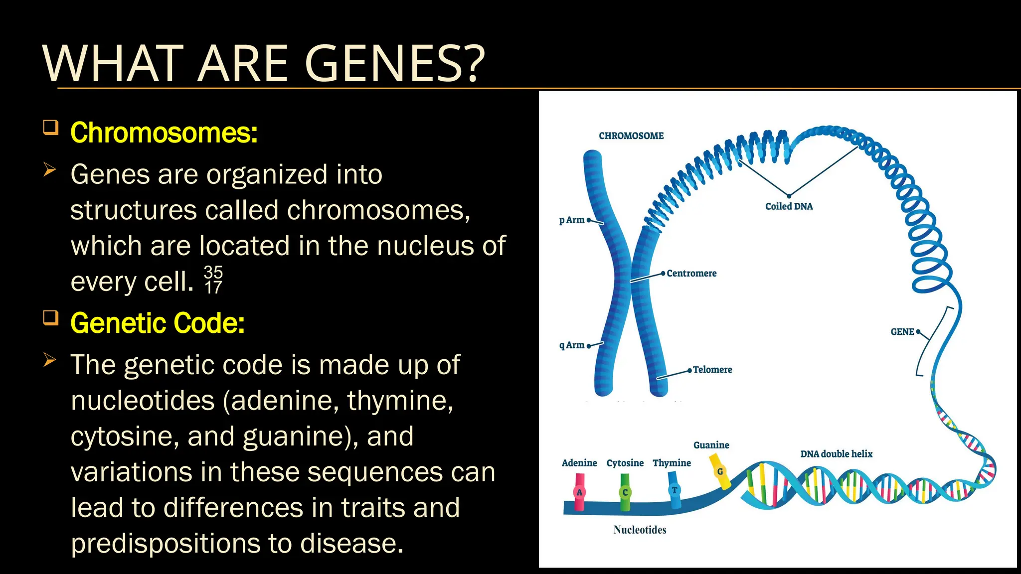 Chromosomal-Abnormalitiesssss,abnormal.pptx