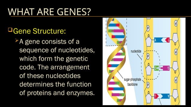 Chromosomal-Abnormalitiesssss,abnormal.pptx
