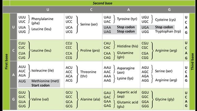 Chromosomal-Abnormalitiesssss,abnormal.pptx