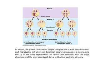 Chromosomal-disorders.pdfclass 12 investigation project | PDF