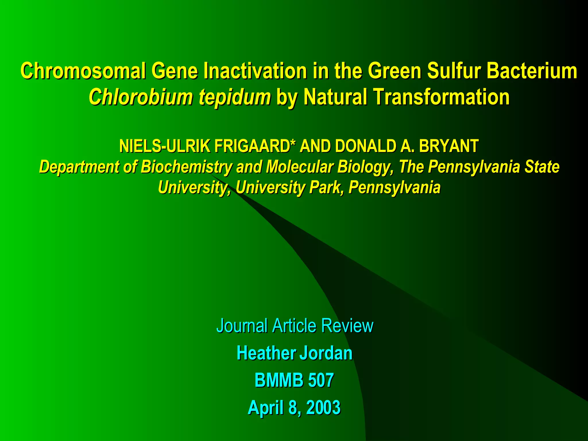Chromosomal Gene Inactivation In The Green Sulfur Bacterium Chlorobium ...
