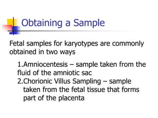 chromosomal-karyotypes.pptx | Pregnancy | Reproductive Health