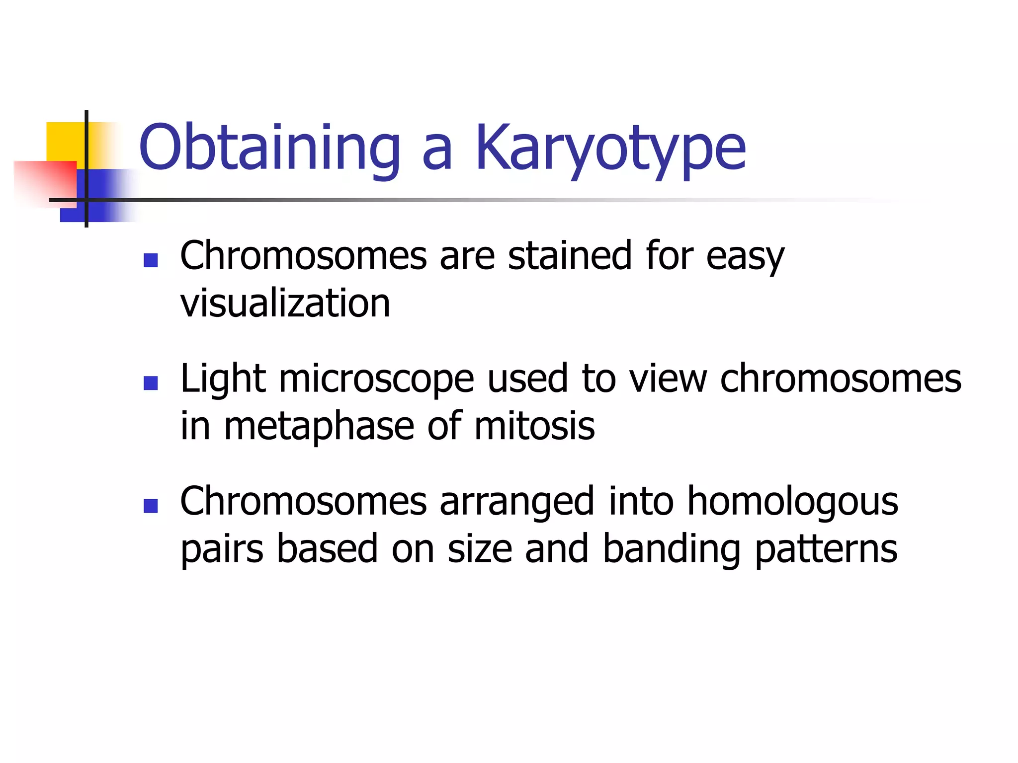 chromosomal-karyotypes.pptx