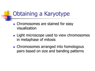 chromosomal-karyotypes.pptx