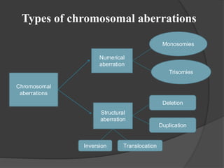 Chromosomal abberation.pptx