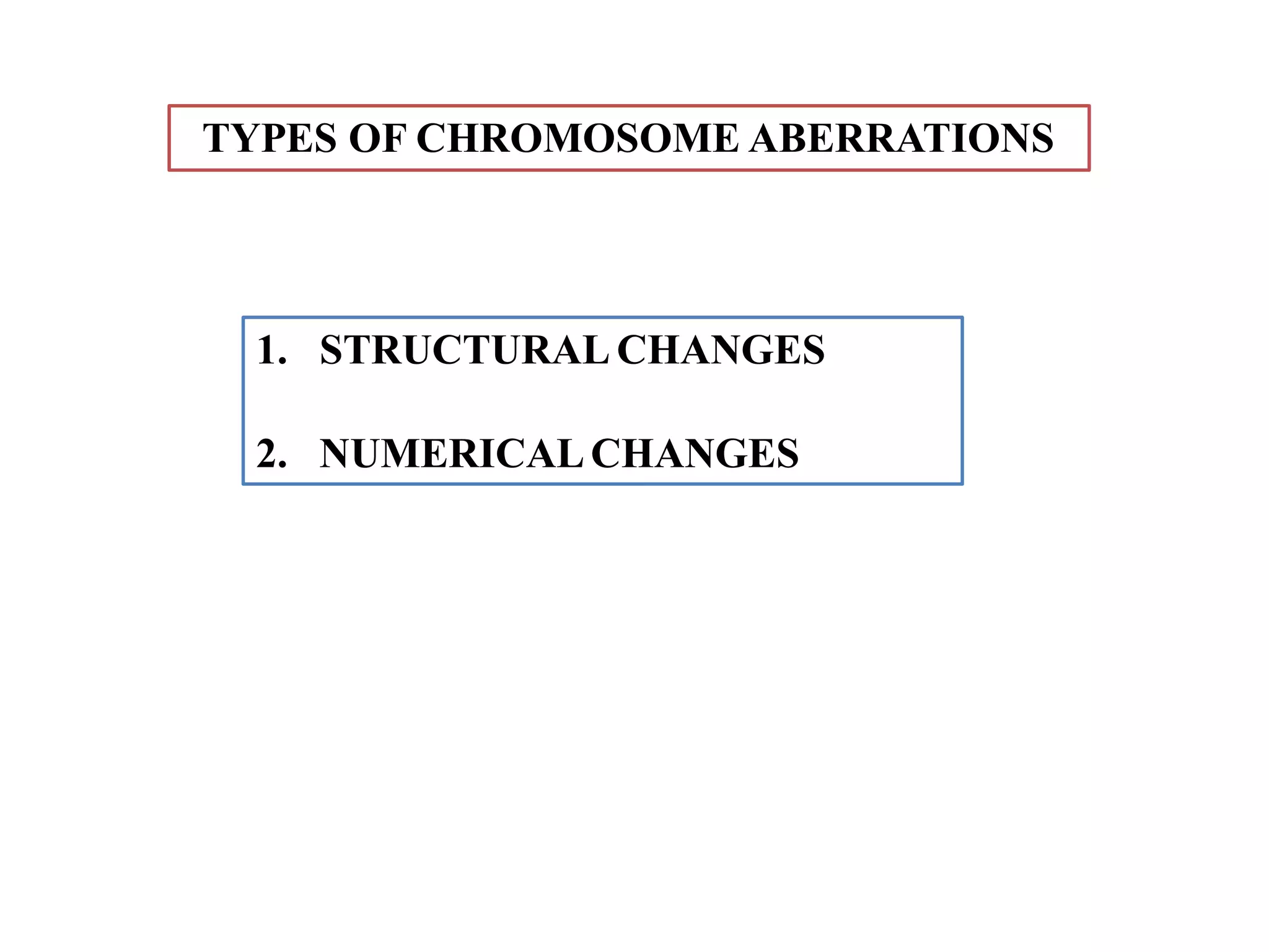 Chromosomal abberations.pptx