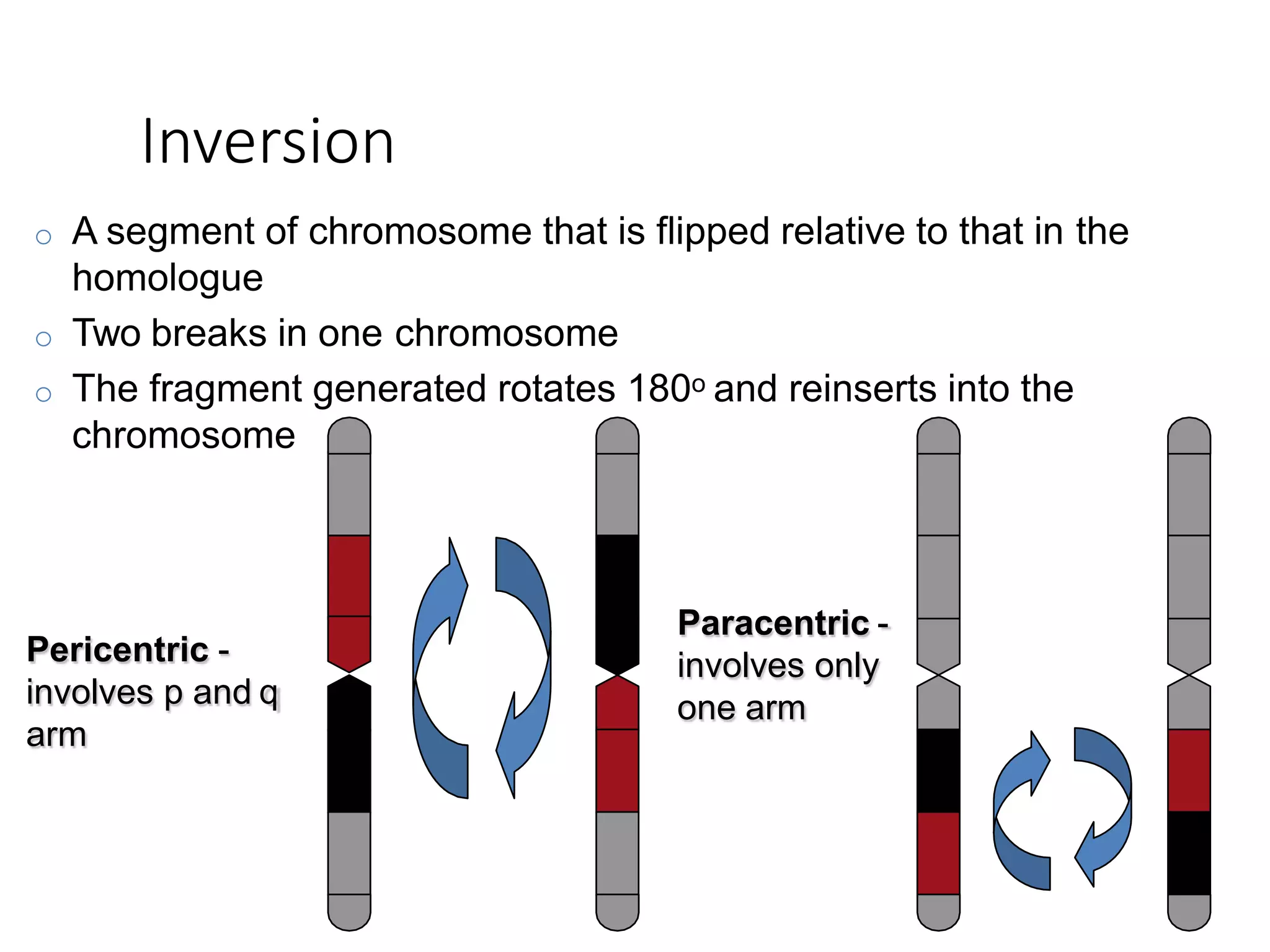 chromosomal aberration.pptx