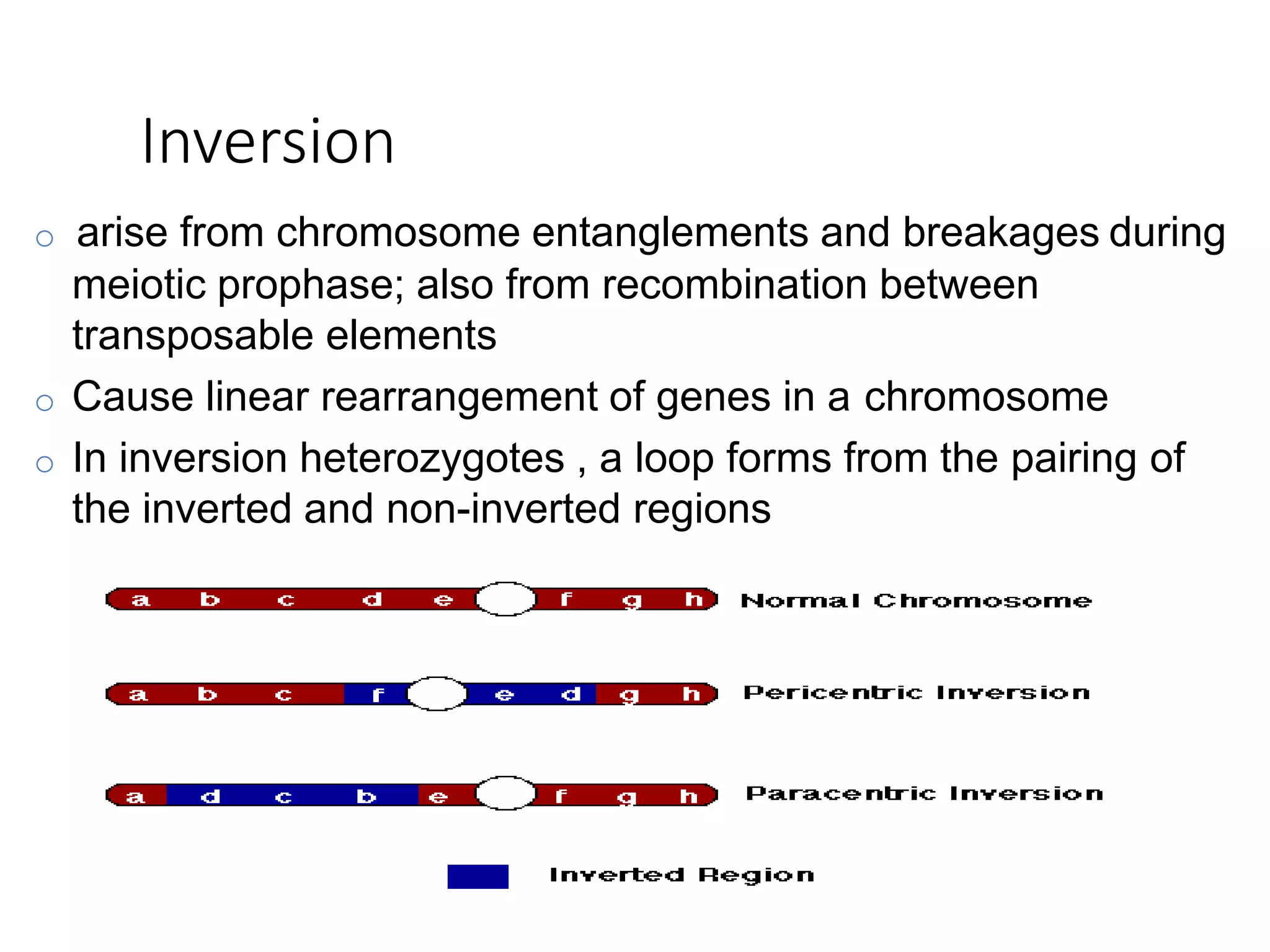 chromosomal aberration.pptx