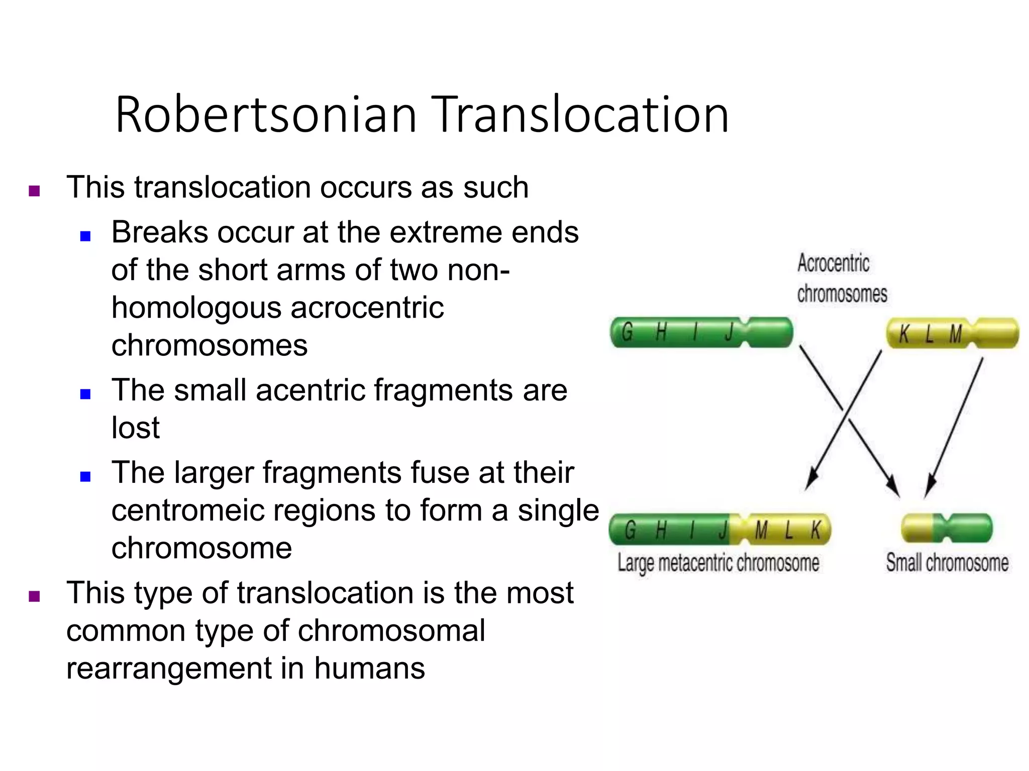 chromosomal aberration.pptx