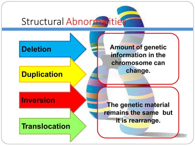 chromosomal aberration.pptx