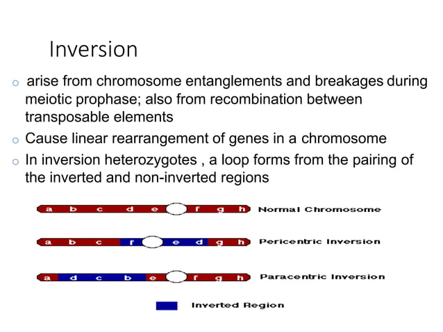 chromosomal aberration.pptx