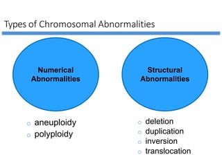chromosomal aberration.pptx