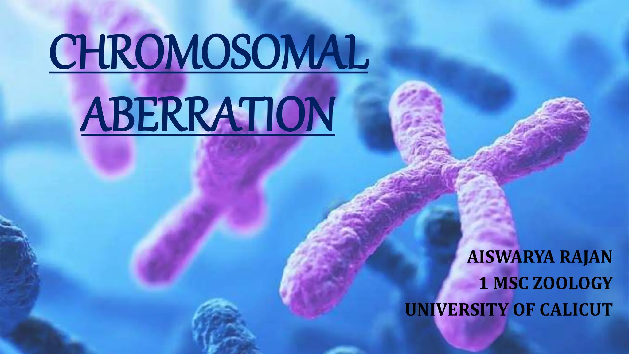 CHROMOSOMAL ABERRATION.a detailed presentation | PPTX