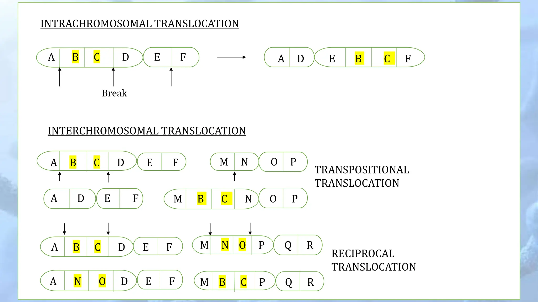 CHROMOSOMAL ABERRATION.a detailed presentation | PPTX
