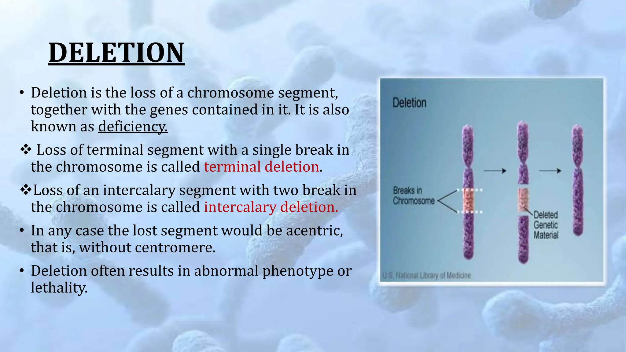CHROMOSOMAL ABERRATION.a detailed presentation | PPTX