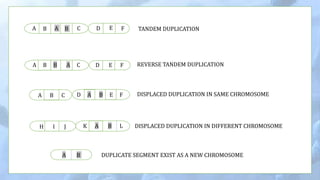 CHROMOSOMAL ABERRATION.a detailed presentation | PPTX