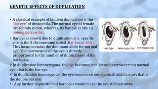 CHROMOSOMAL ABERRATION.a detailed presentation | PPTX