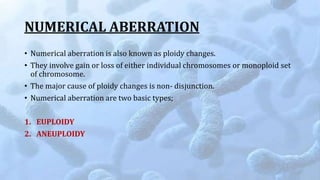 CHROMOSOMAL ABERRATION.a detailed presentation | PPTX