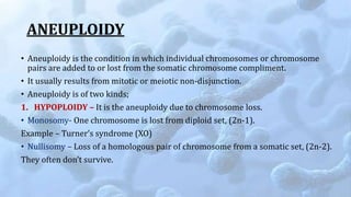 CHROMOSOMAL ABERRATION.a detailed presentation | PPTX