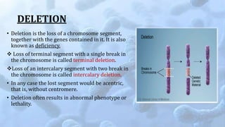 CHROMOSOMAL ABERRATION.a detailed presentation | PPTX