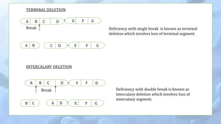 CHROMOSOMAL ABERRATION.a detailed presentation | PPTX