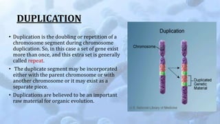 CHROMOSOMAL ABERRATION.a detailed presentation | PPTX