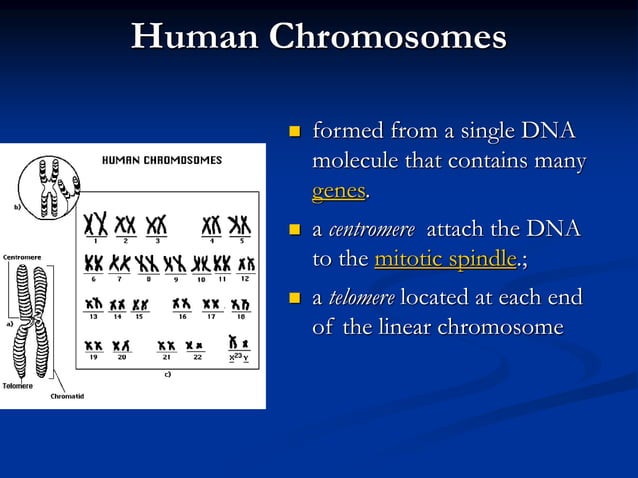 chromosomal aberration of different chromosomal disorders | PPT | Free ...